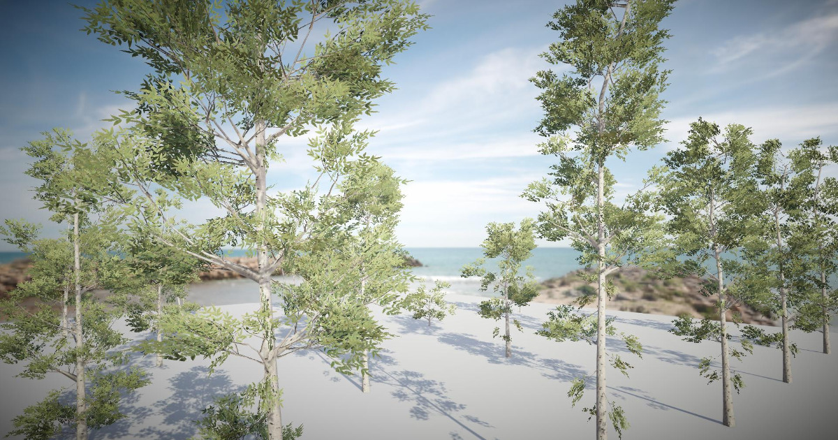 URP White Birch Tree (Mobile) | 3D 樹木 | Unity Asset Store