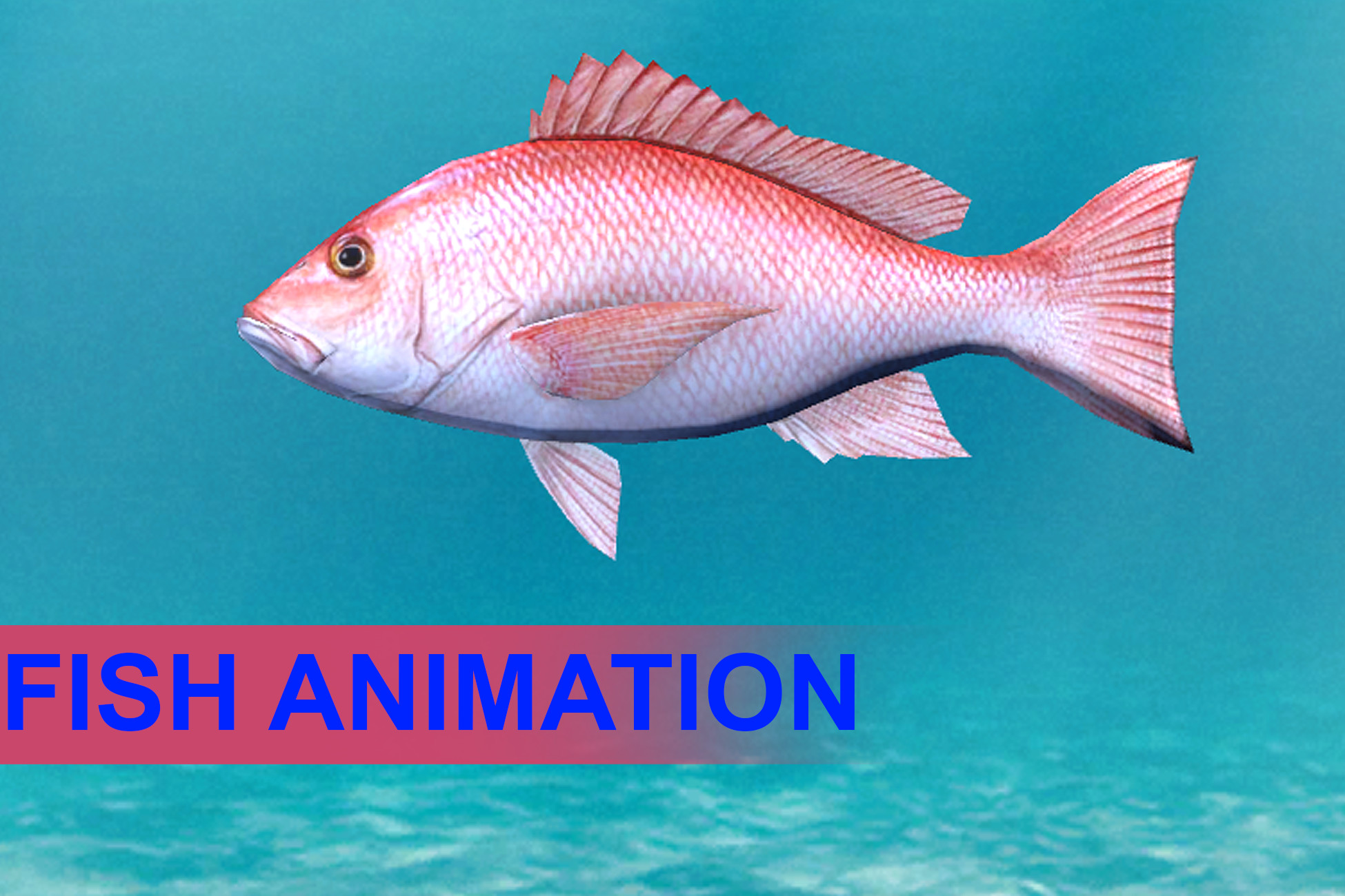 Fish animations | 캐릭터 | Unity Asset Store Fish animations | 캐릭터 | Unity Asset Store