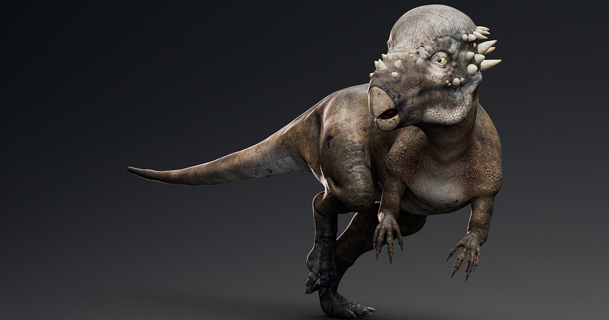 Pachycephalosaurus Dinosaur | 3D Animals | Unity Asset Store
