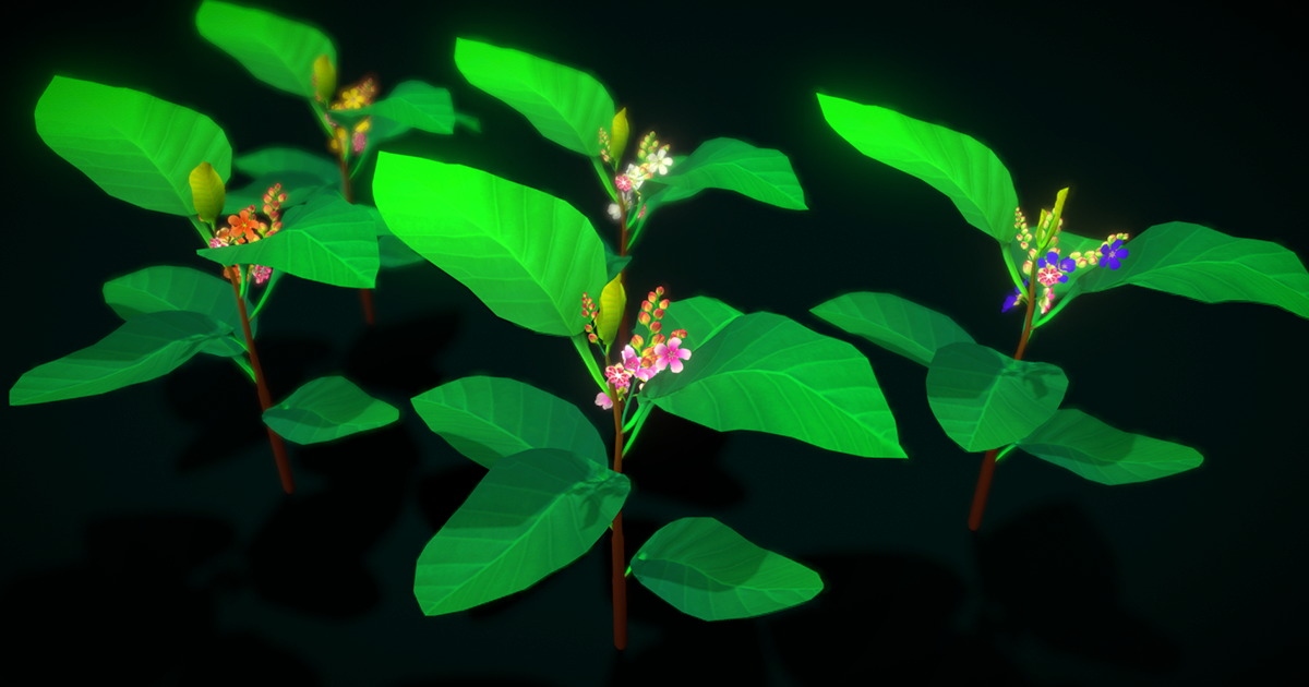 Flower Simpor | 3D Flowers | Unity Asset Store