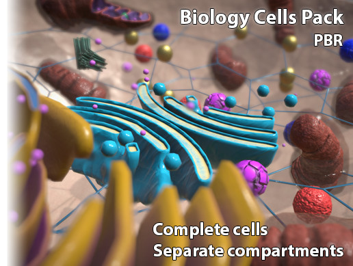Biology Cells Pack | 3D | Unity Asset Store