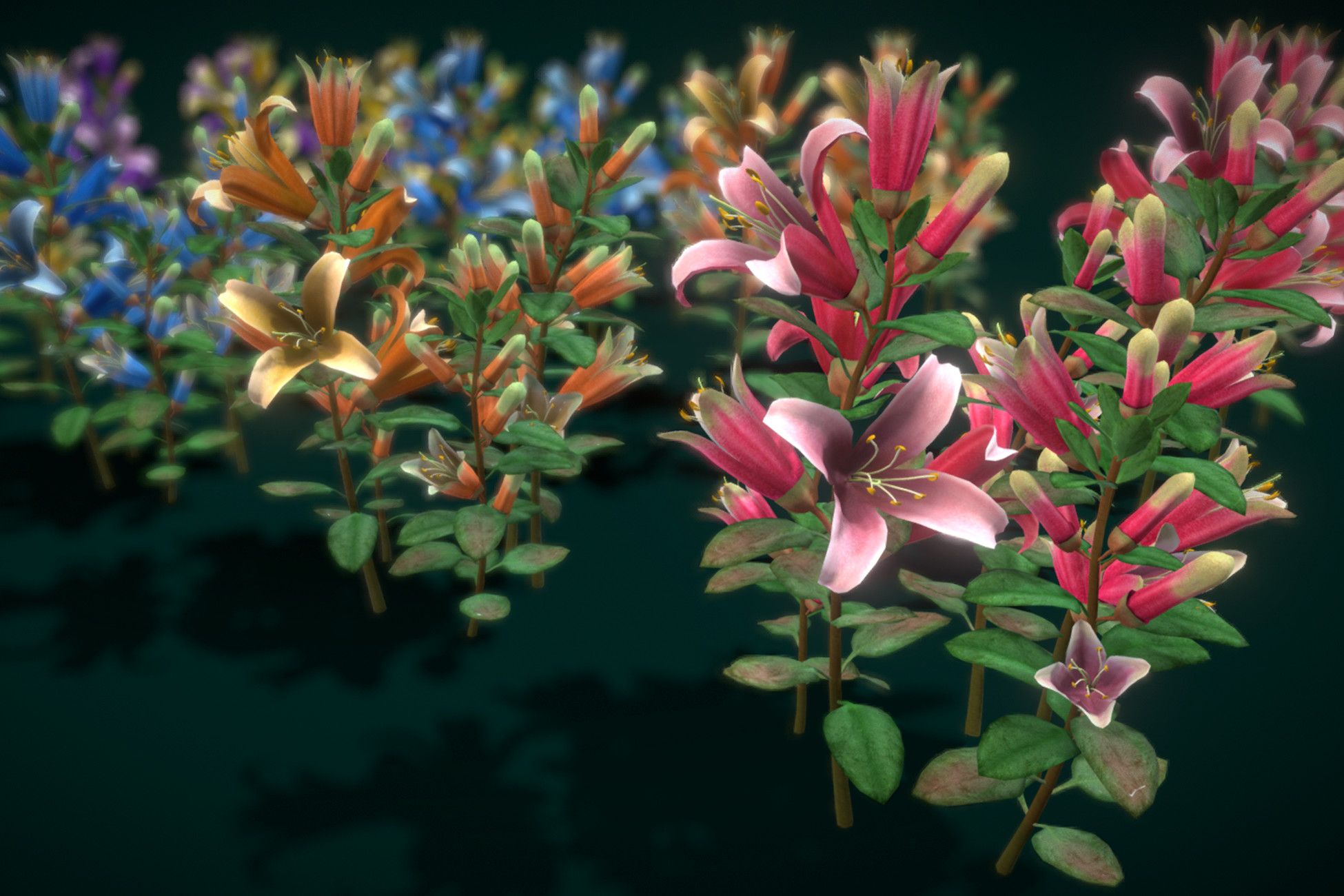 Flower Correa Reflexa | 3D Flowers | Unity Asset Store