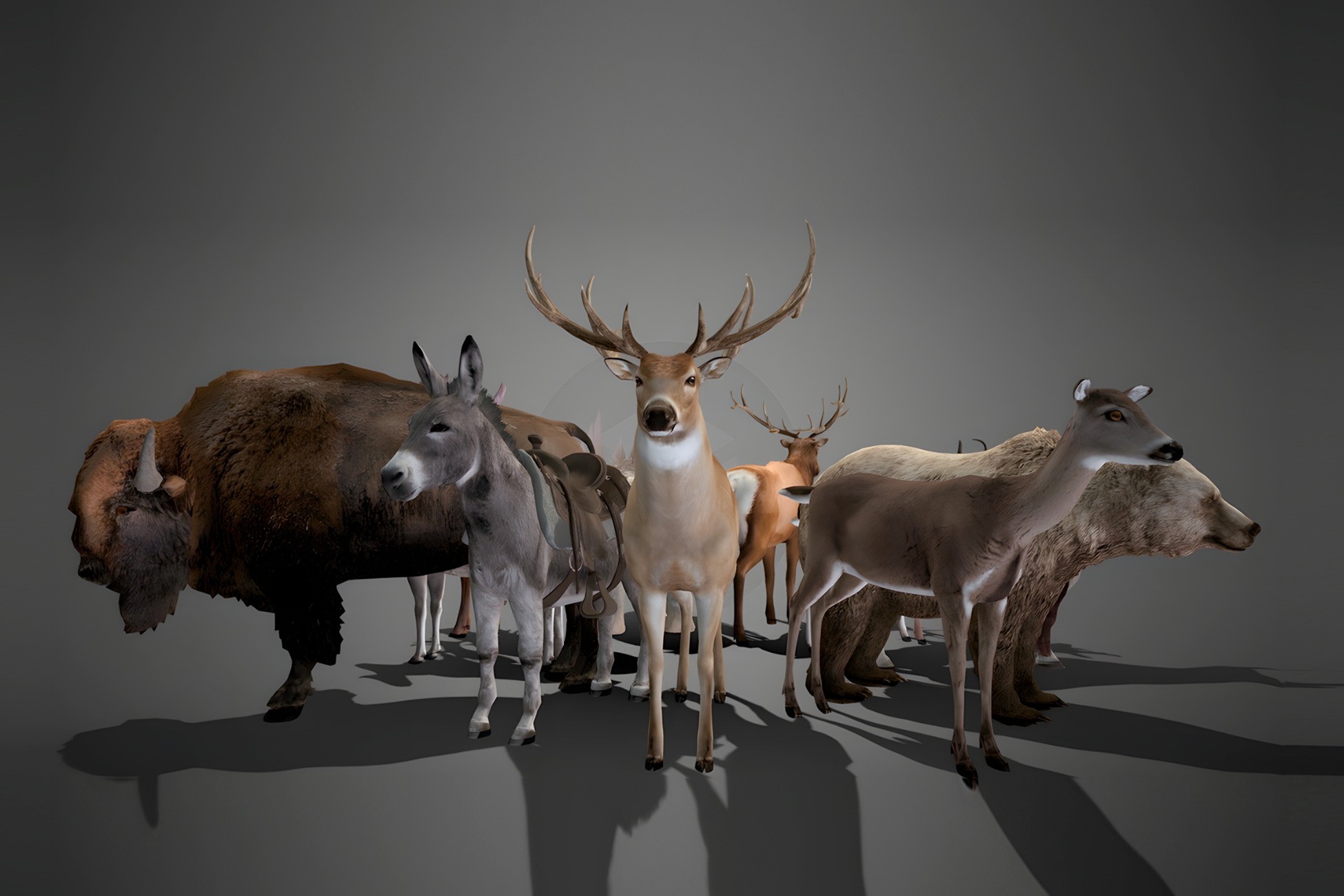 Realistic Animals BIG PACK by WINDIE Games