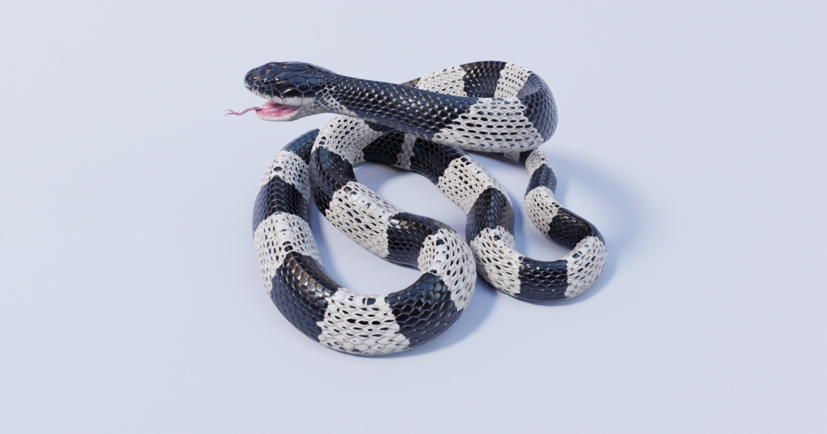 Malayan Krait | Characters | Unity Asset Store