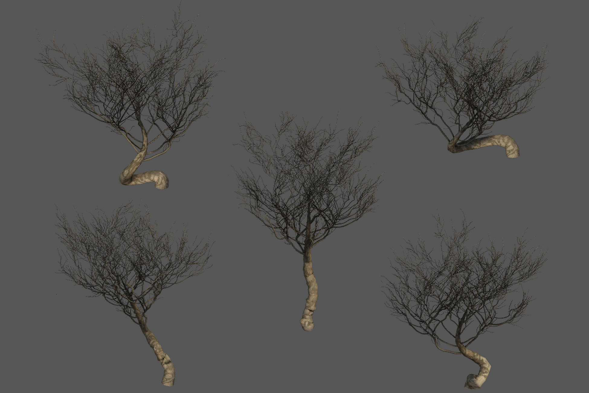 Dry Bushes | 3D Plants | Unity Asset Store