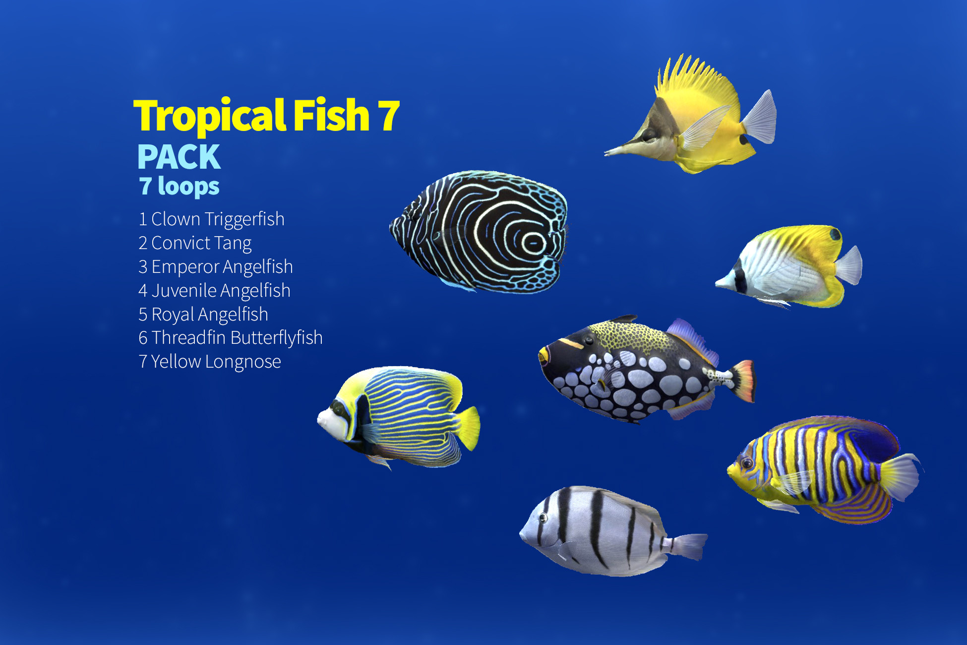 Tropical Fish 7 | Characters | Unity Asset Store