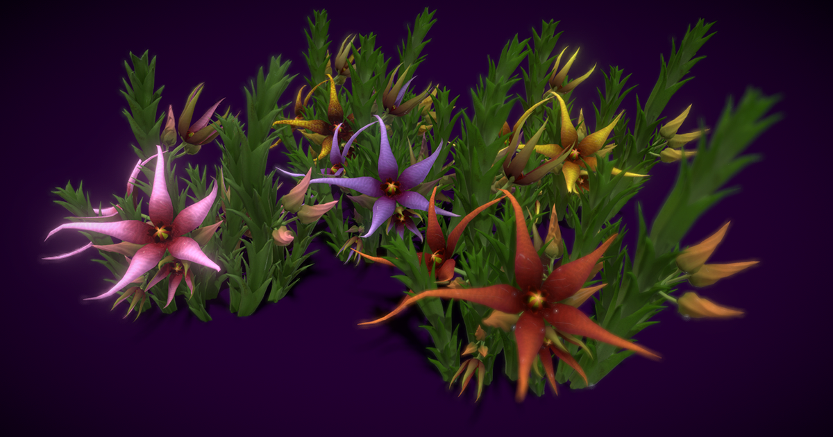 Flower Orbea caudata | 3D Flowers | Unity Asset Store