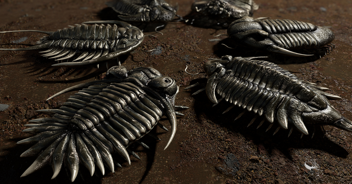 Trilobites Collection | 3D Creatures | Unity Asset Store