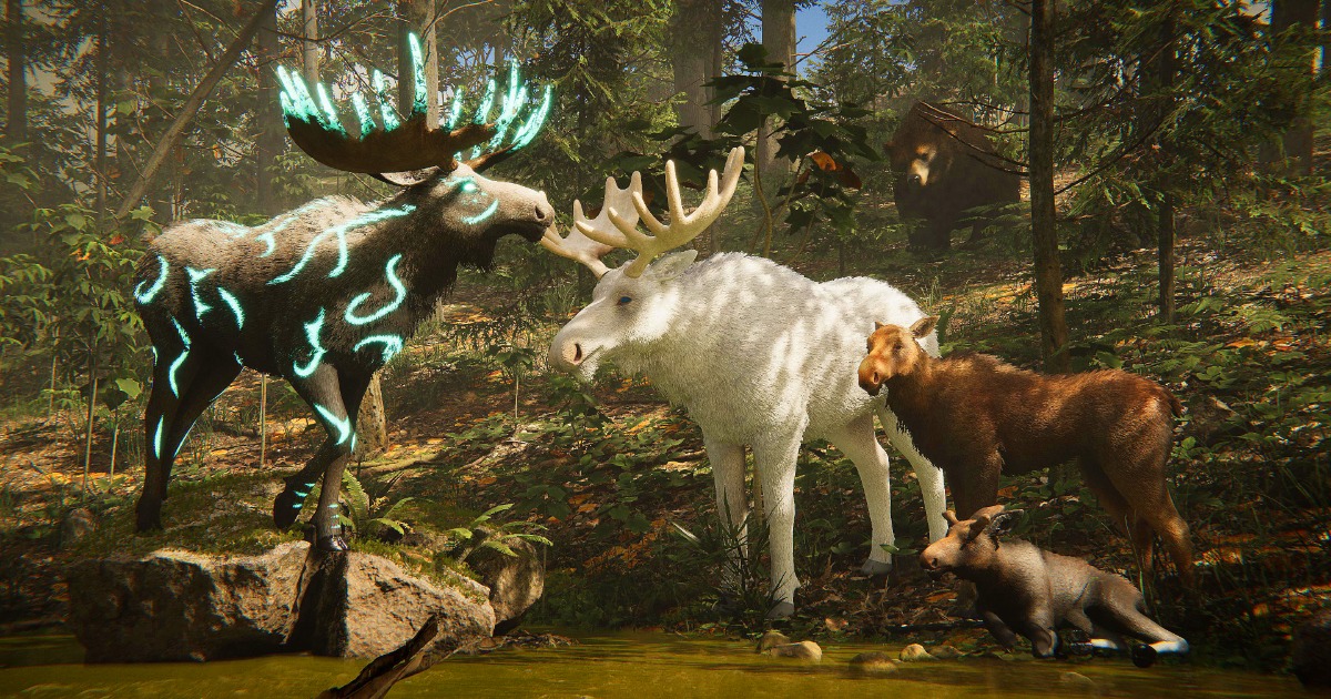 Realistic Moose | 3D 动物 | Unity Asset Store