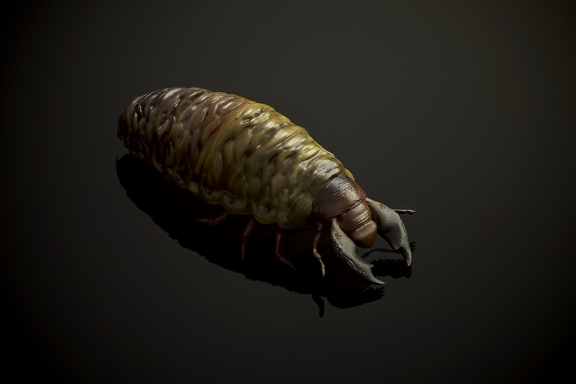Larva_insect2 | Characters | Unity Asset Store