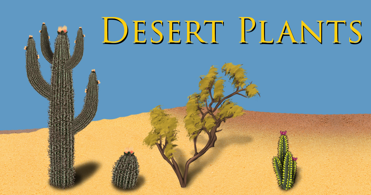 2D Desert Plants Pack - Handcrafted|Customisable | 2D Environments ...