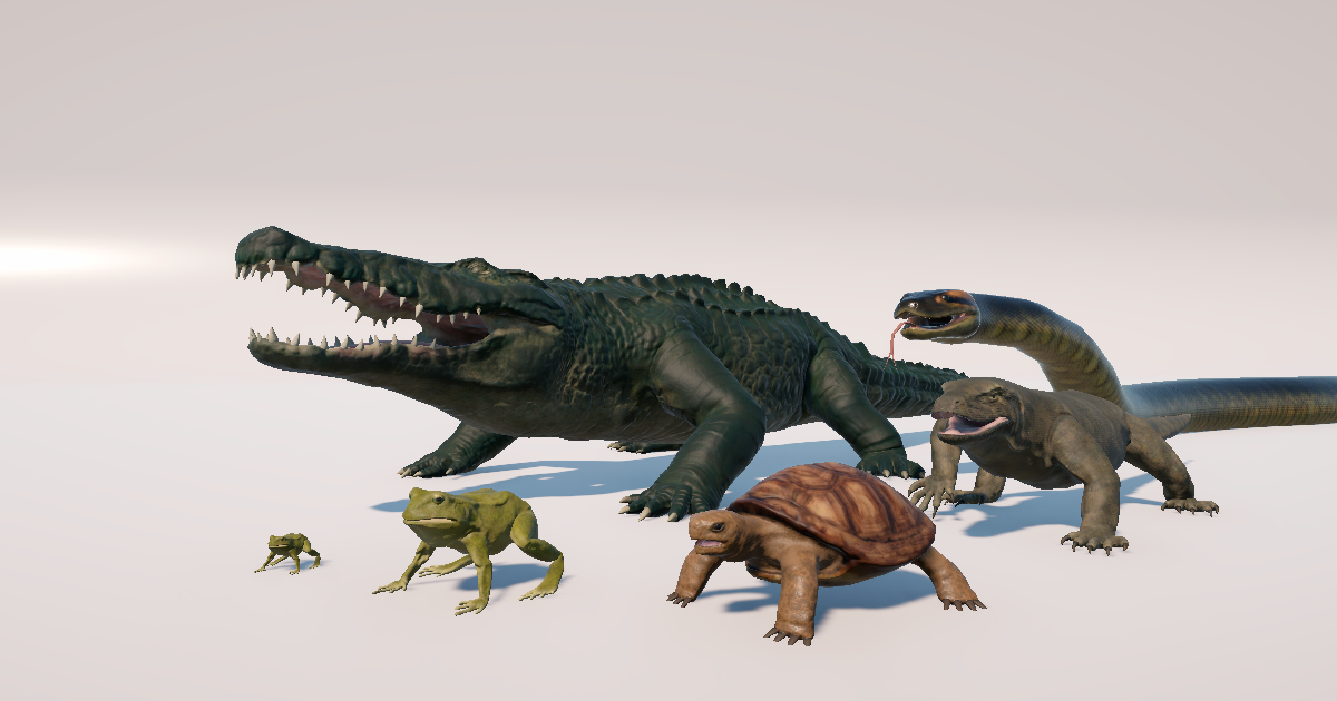 Reptiles and Amphibians - Animals Pack | Characters | Unity Asset Store