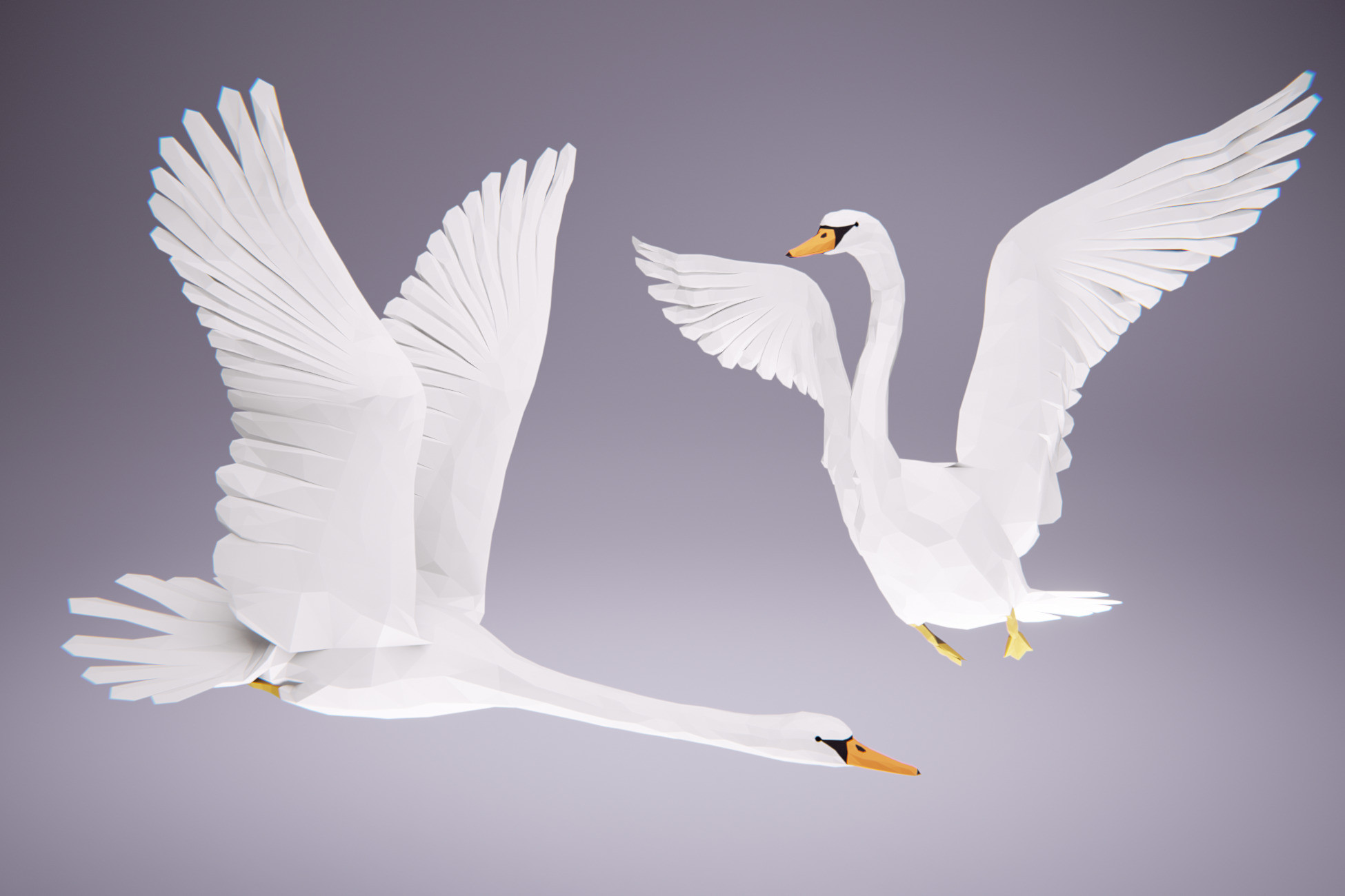 Low Poly Bird: Swan | Characters | Unity Asset Store