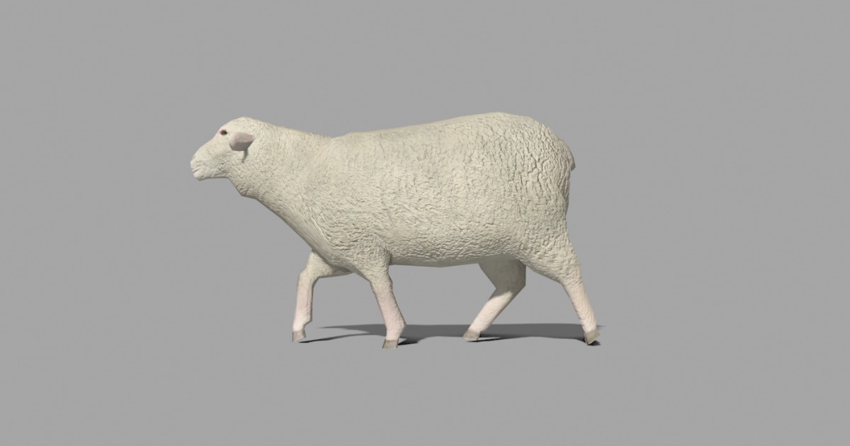 Sheep, animated 3d model | Characters | Unity Asset Store