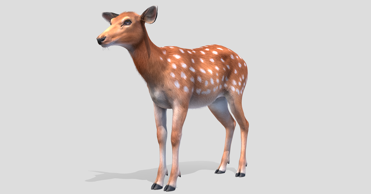 Deer - Doe | Characters | Unity Asset Store