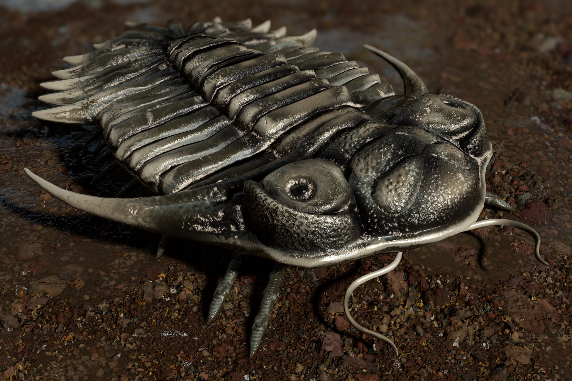Trilobite 04 - KAYSEROPS | Characters | Unity Asset Store