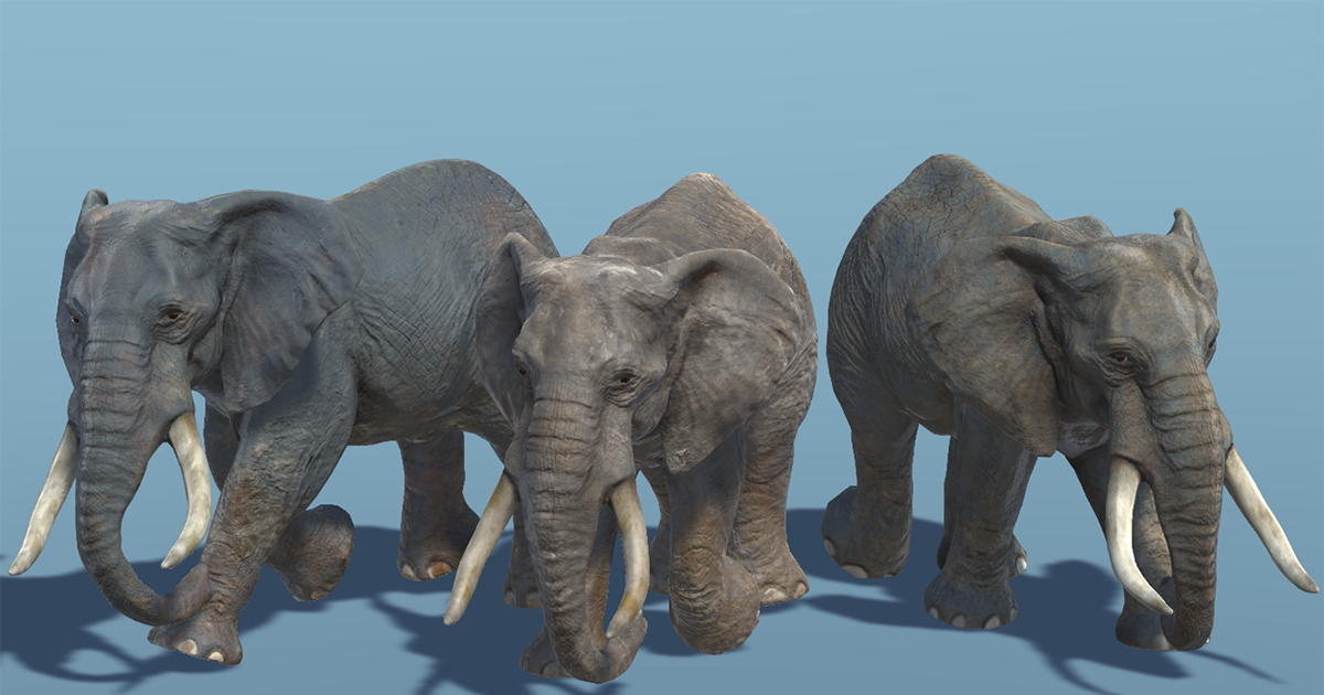 African Animal - Elephant 2 (FULL) | Characters | Unity Asset Store