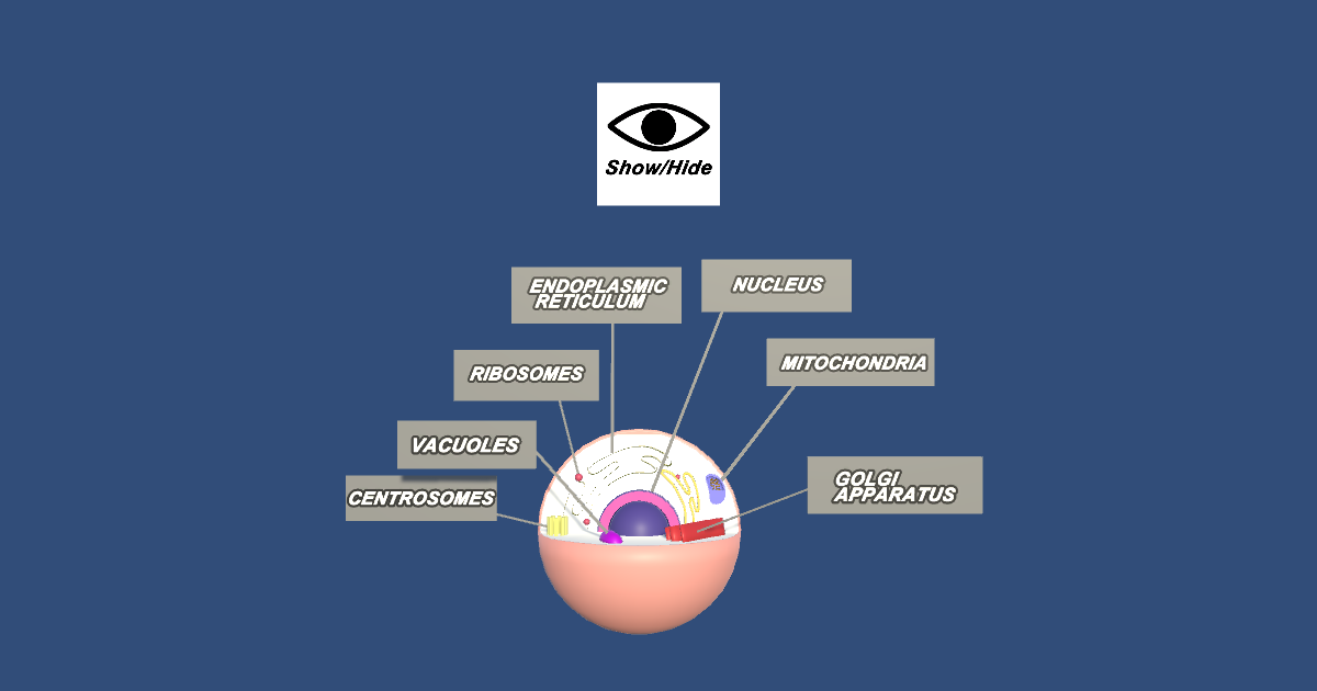 Animal Cell - 3D/Education/STEM/Classroom | 3D Props | Unity Asset Store