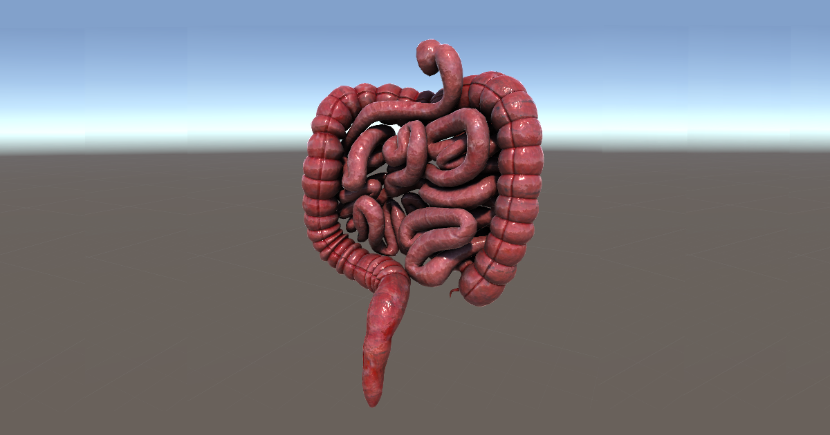 Human Intestines | 3D | Unity Asset Store