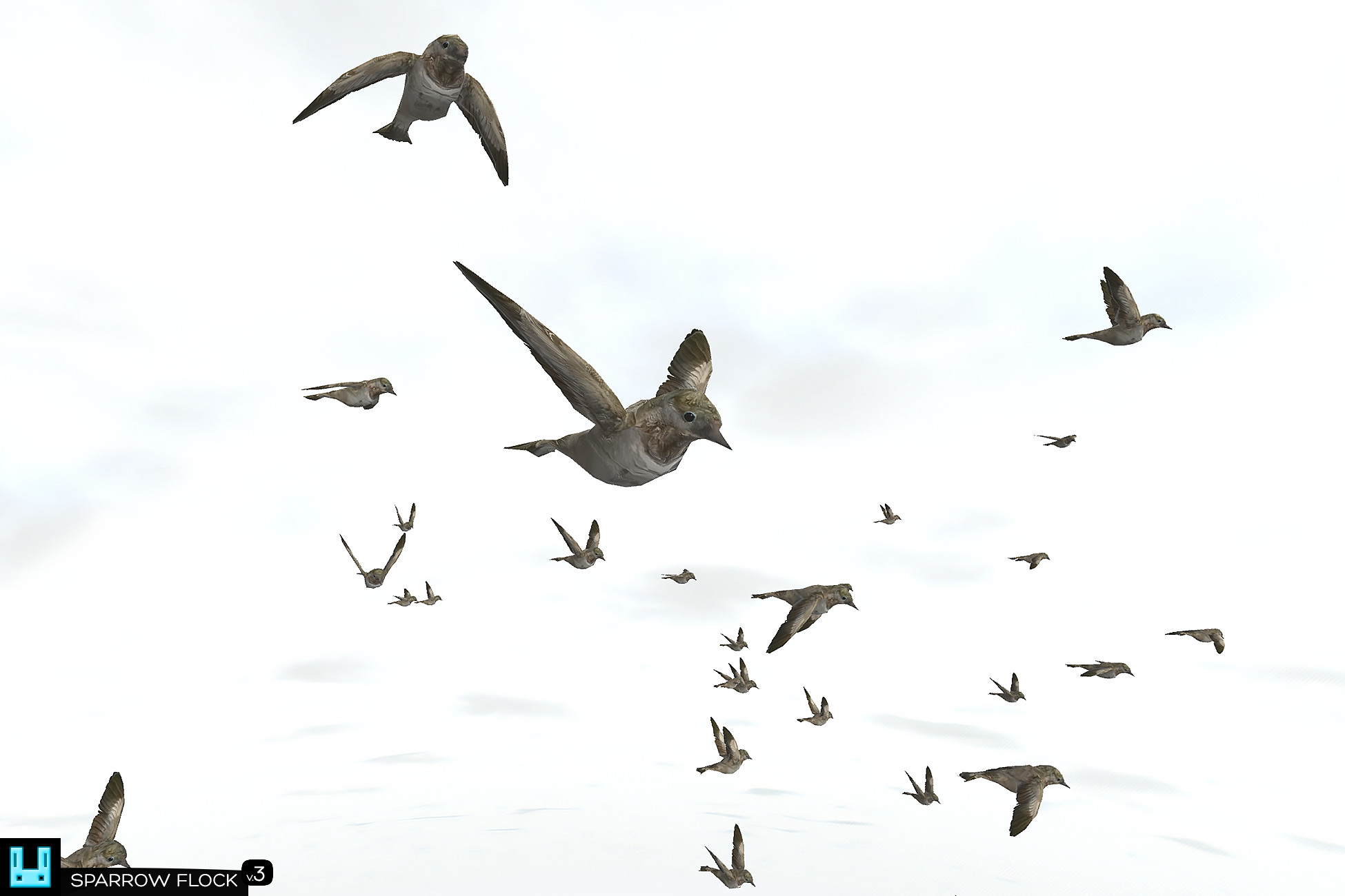 Bird Flock 2023 | Characters | Unity Asset Store