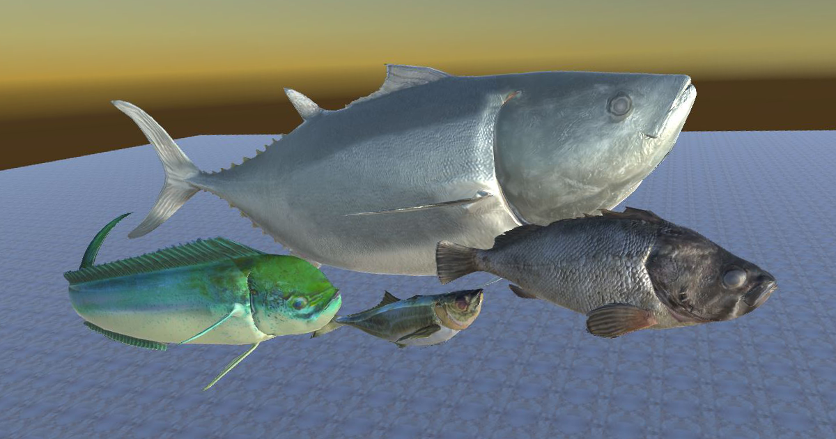Marine Fishes pack | Characters | Unity Asset Store