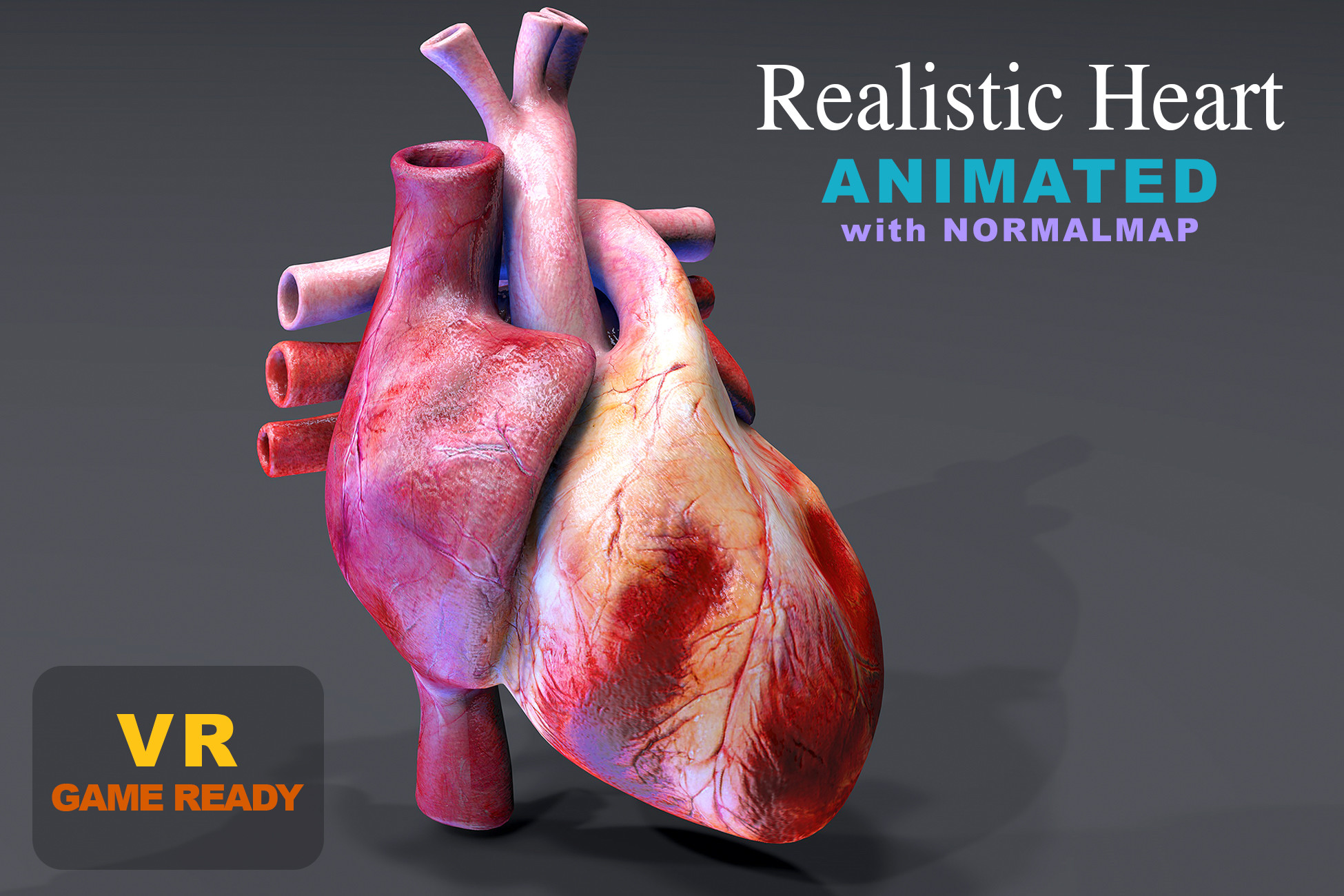 Animated Realistic Heart 3D | 3D Characters | Unity Asset Store