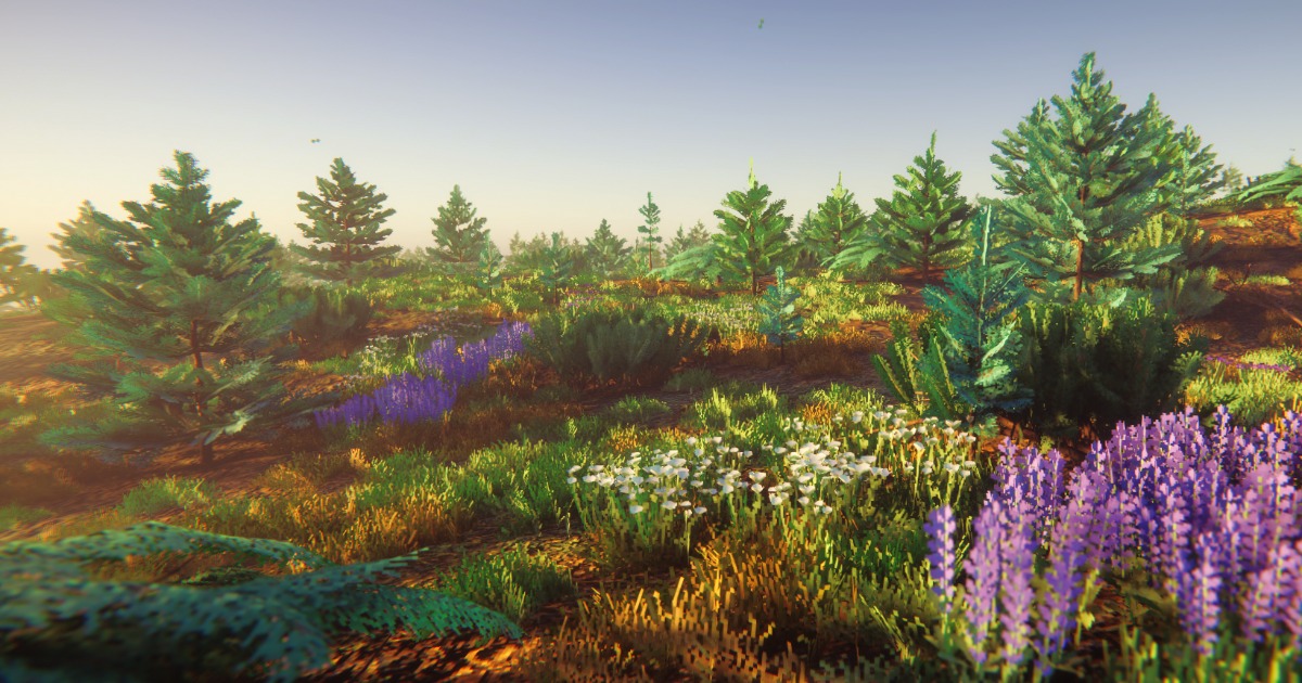 Stylized Pine Forest Environment | 3D Environments | Unity Asset Store