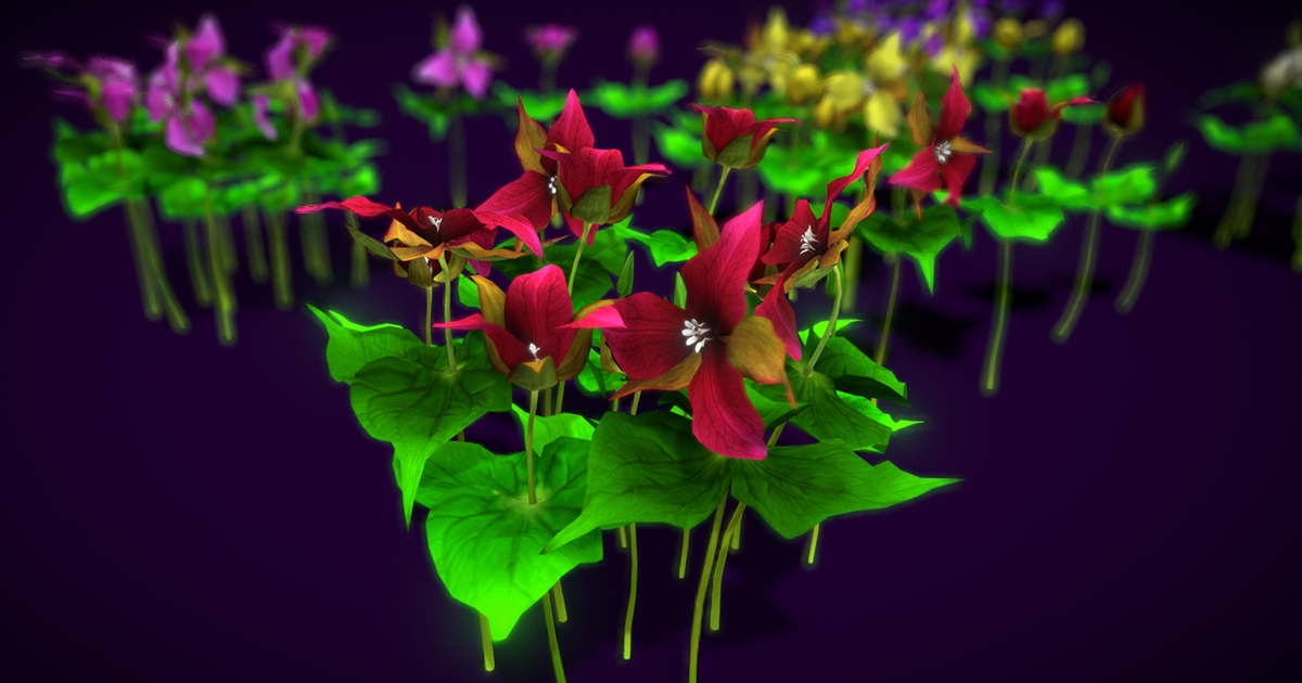 Flower Trillium Erectum | 3D Flowers | Unity Asset Store