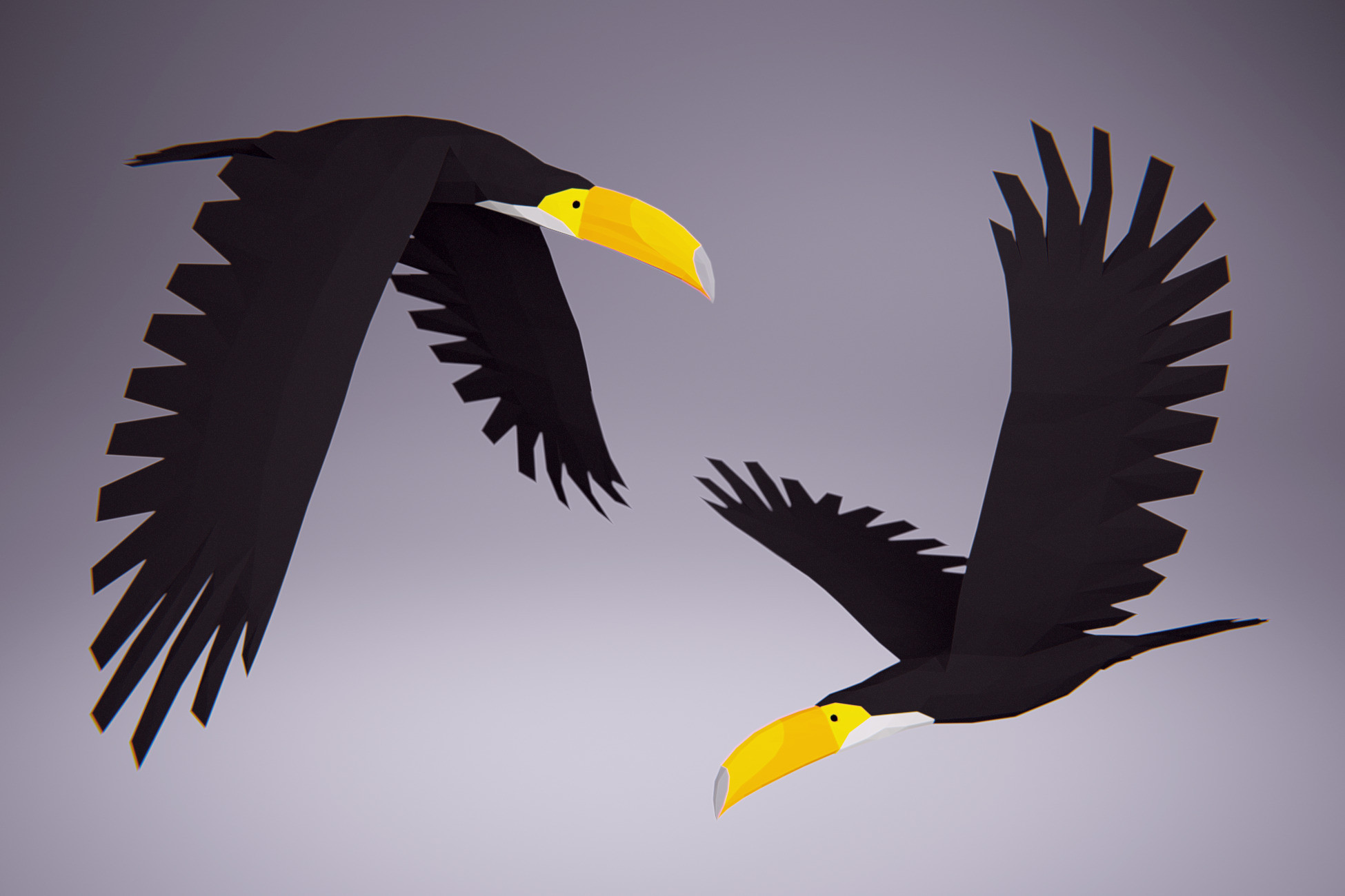 Low Poly Bird: Tucan | Characters | Unity Asset Store