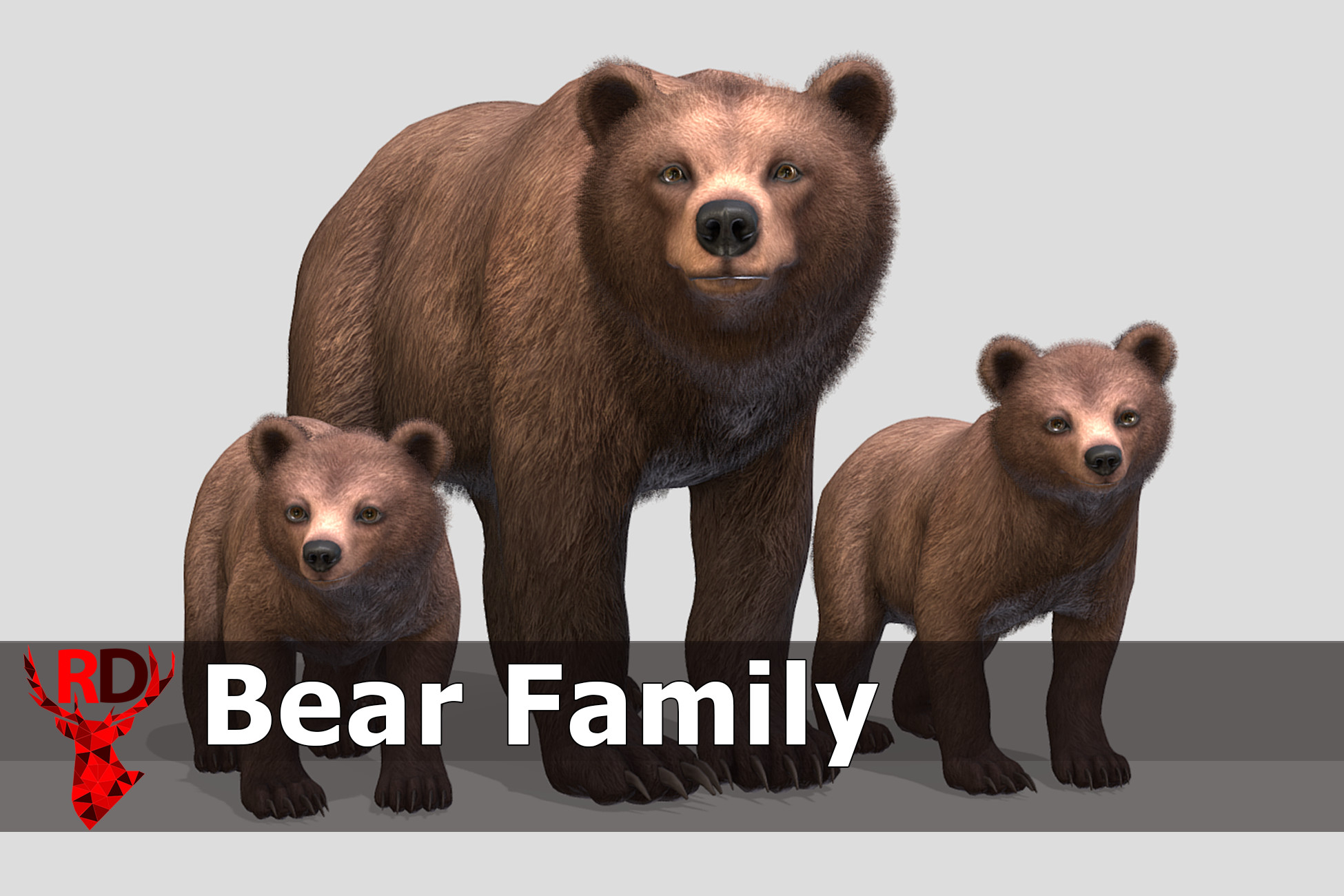 Bear - Family | Characters | Unity Asset Store