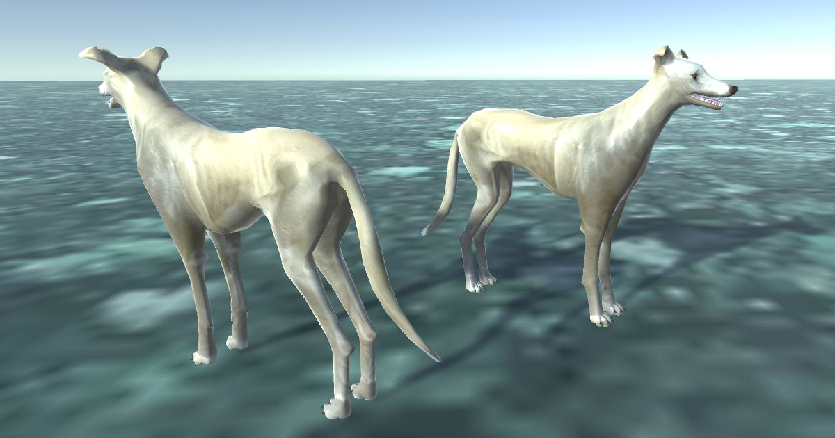 Greyhound | Characters | Unity Asset Store