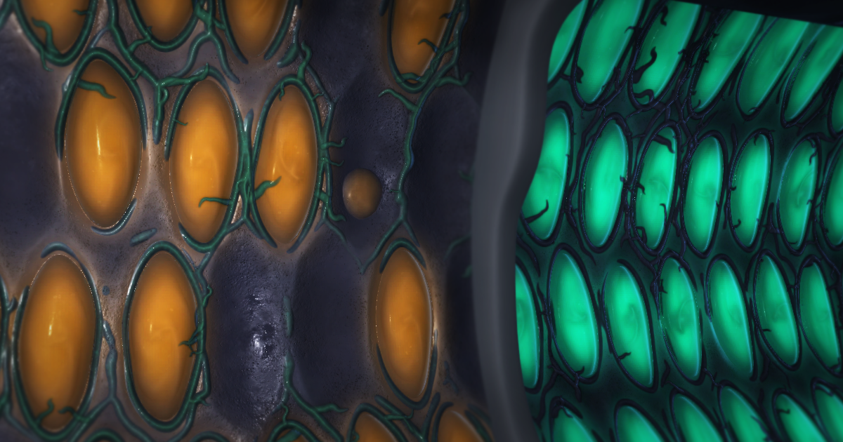 Alien Pods Materials | 2D Textures & Materials | Unity Asset Store