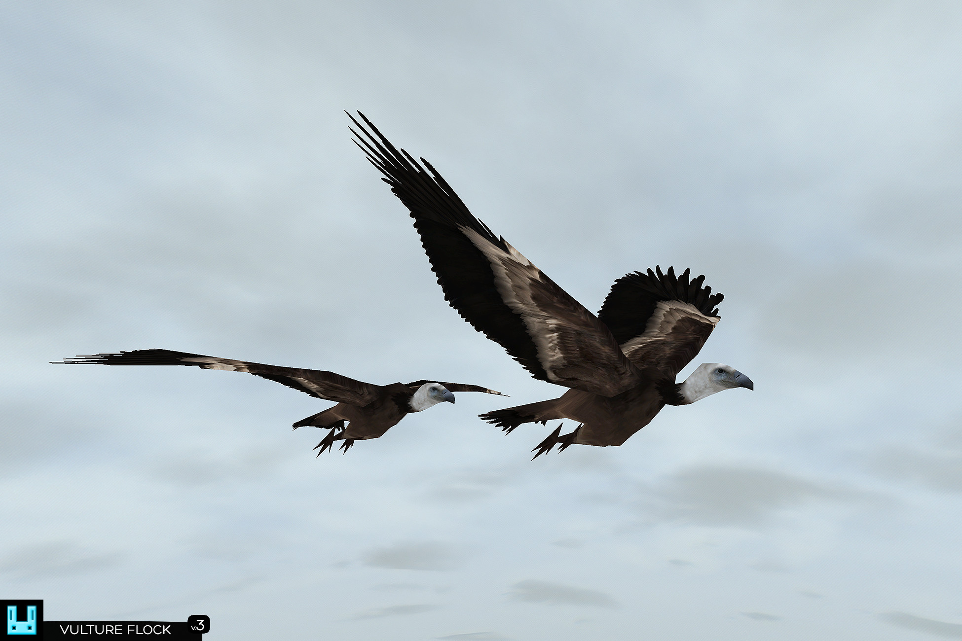 Bird Flock Vulture 2023 | Characters | Unity Asset Store
