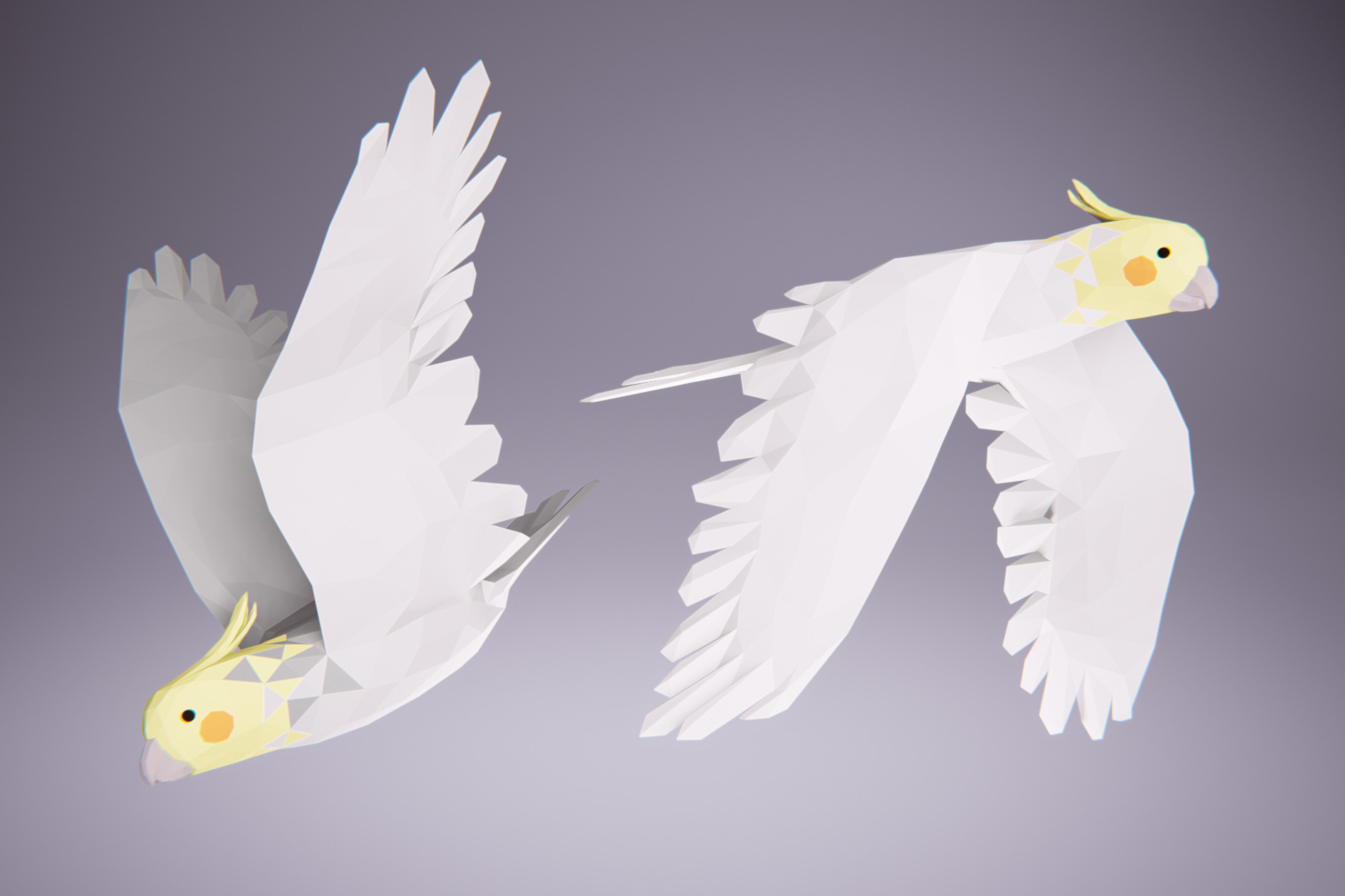 Low Poly Bird: Cockatiel | Characters | Unity Asset Store