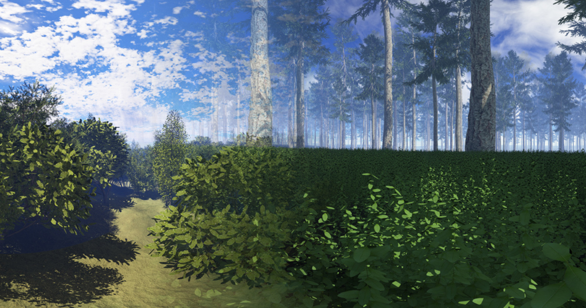 HDR Forest Skies | 2D Sky | Unity Asset Store