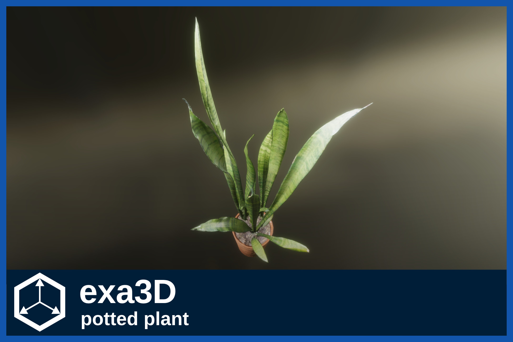 potted plant | 3D Plants | Unity Asset Store