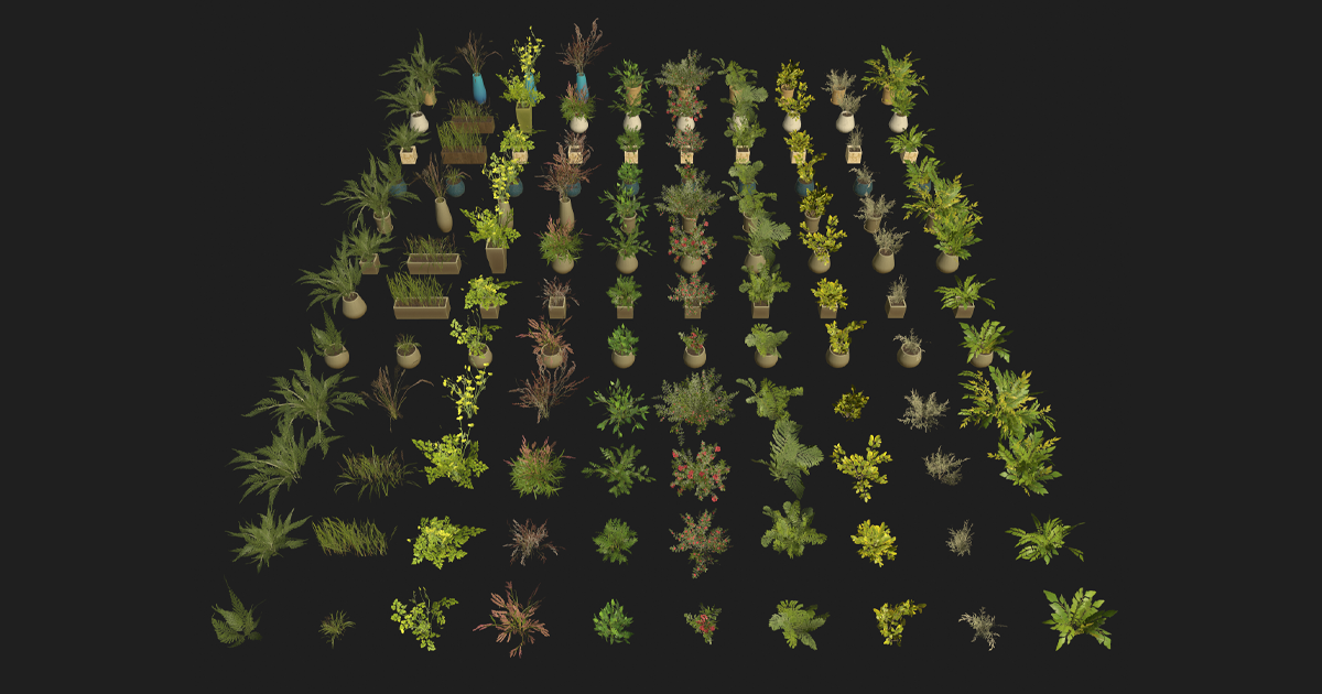 Indoor Plants 02 | 3D Plants | Unity Asset Store