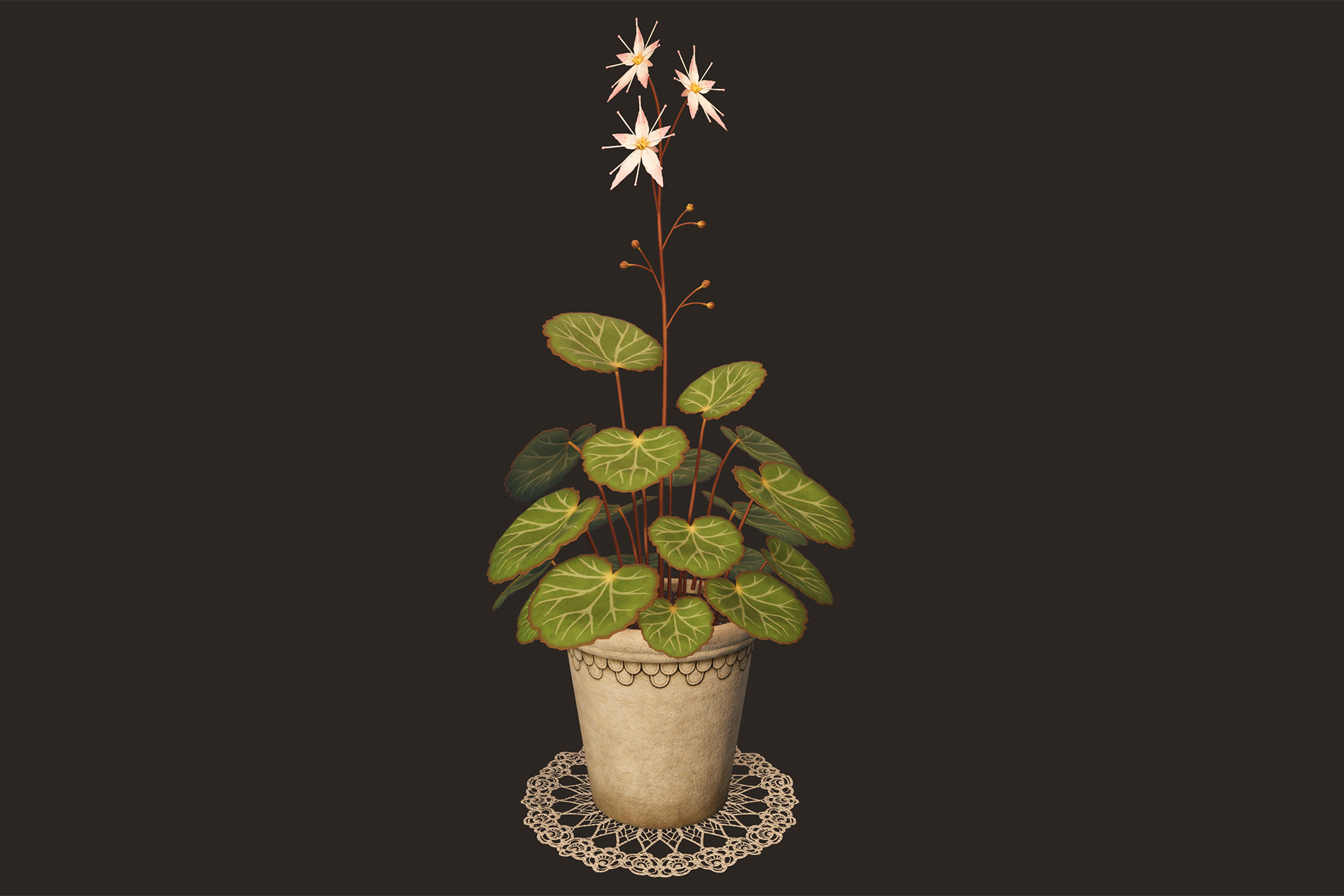 House Plant | 3D Flowers | Unity Asset Store