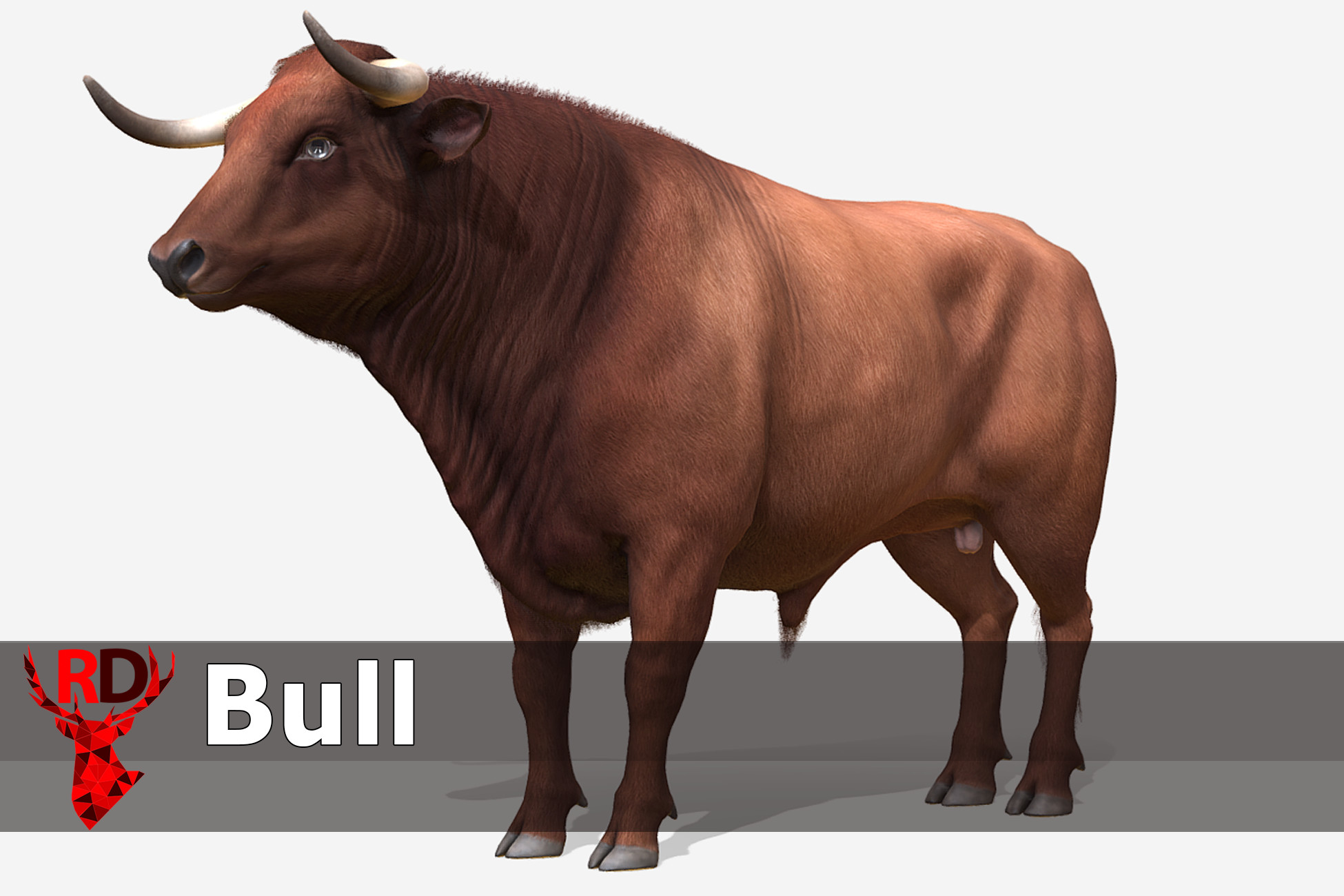 Bull realistic | Characters | Unity Asset Store