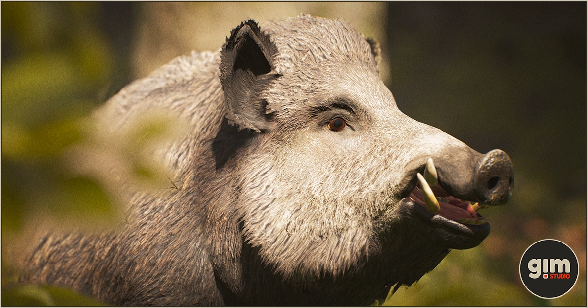 Animalia - Wild Boar (male) | Characters | Unity Asset Store
