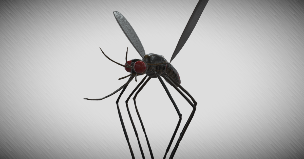 Mosquito | Characters | Unity Asset Store