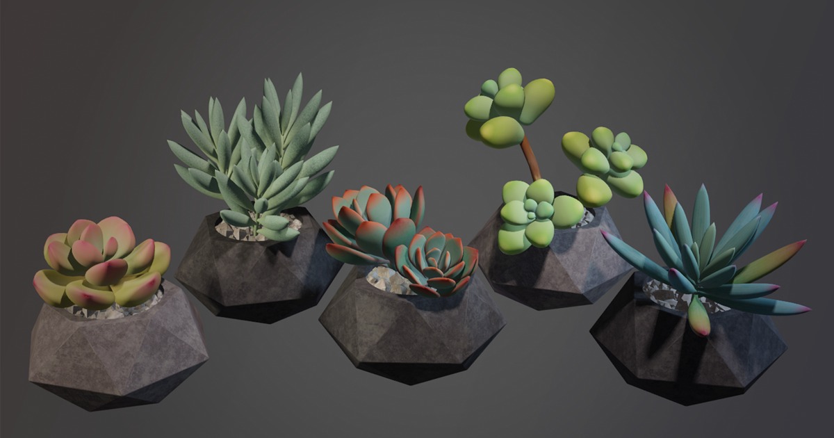 3D Succulents in pots (pack of 5 plants) | 3D 植被 | Unity Asset Store