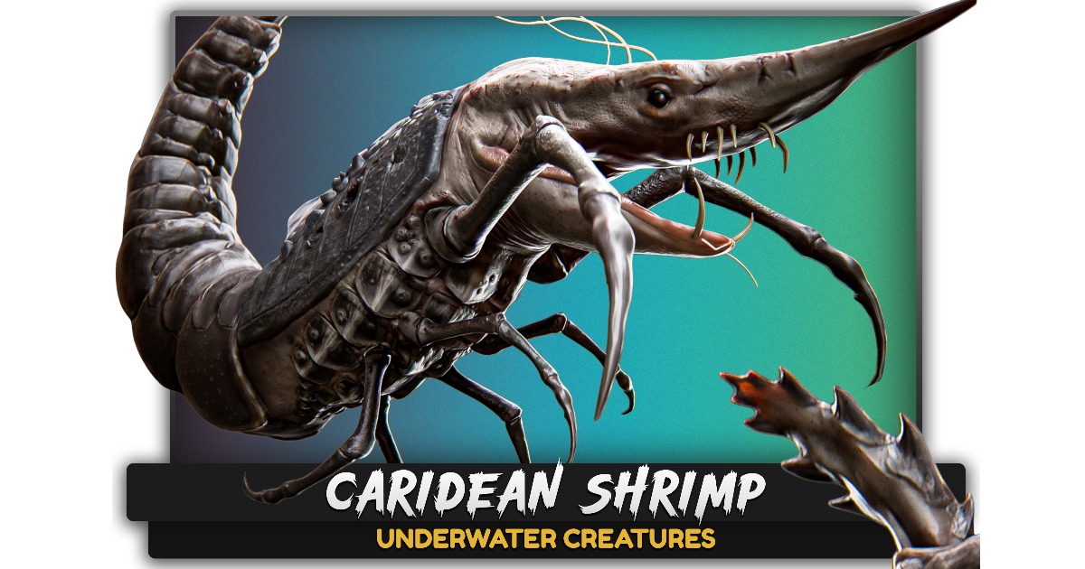 Fish low poly model / Shrimp fish lowpoly / ocean horror / monster fish ...