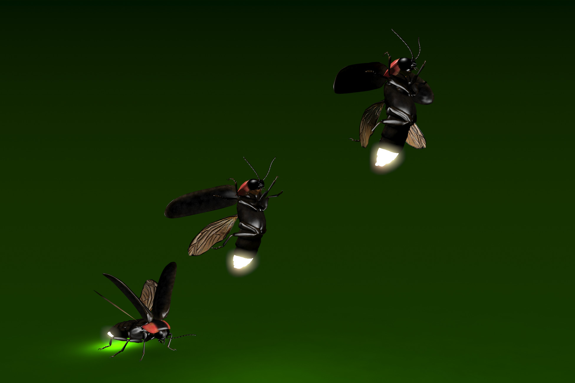 Firefly | 角色 | Unity Asset Store