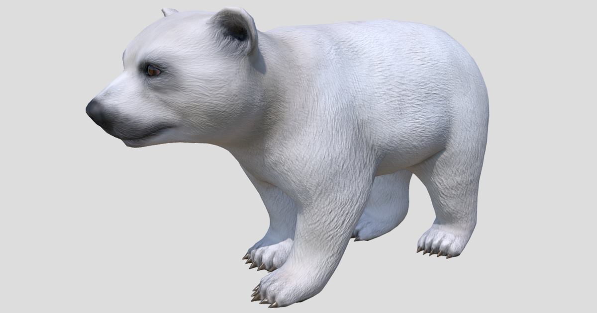 White Bear Cub | Characters | Unity Asset Store