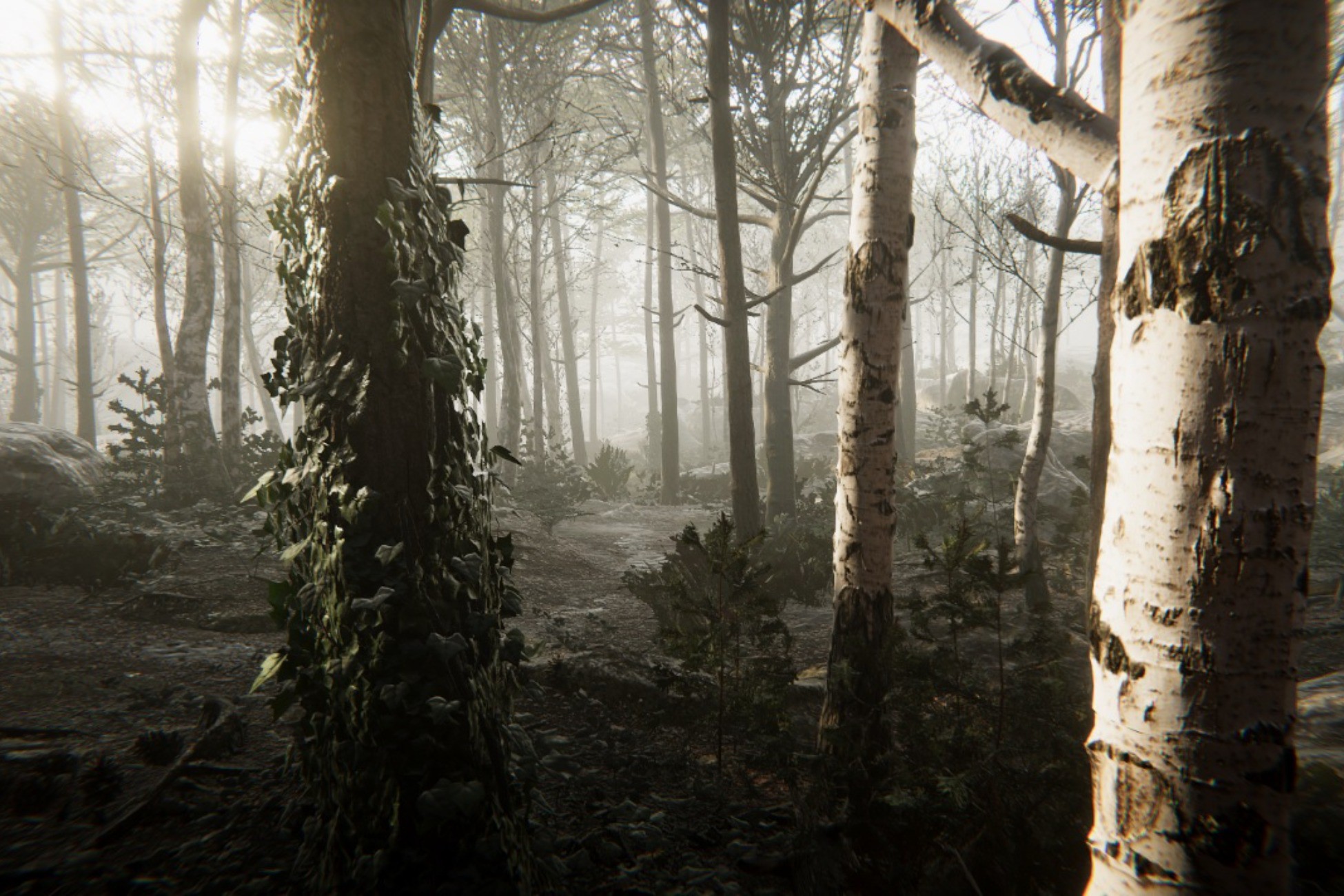 HDRP Lighting Box 2 : NextGen Lighting Solution | Utilities Tools ...