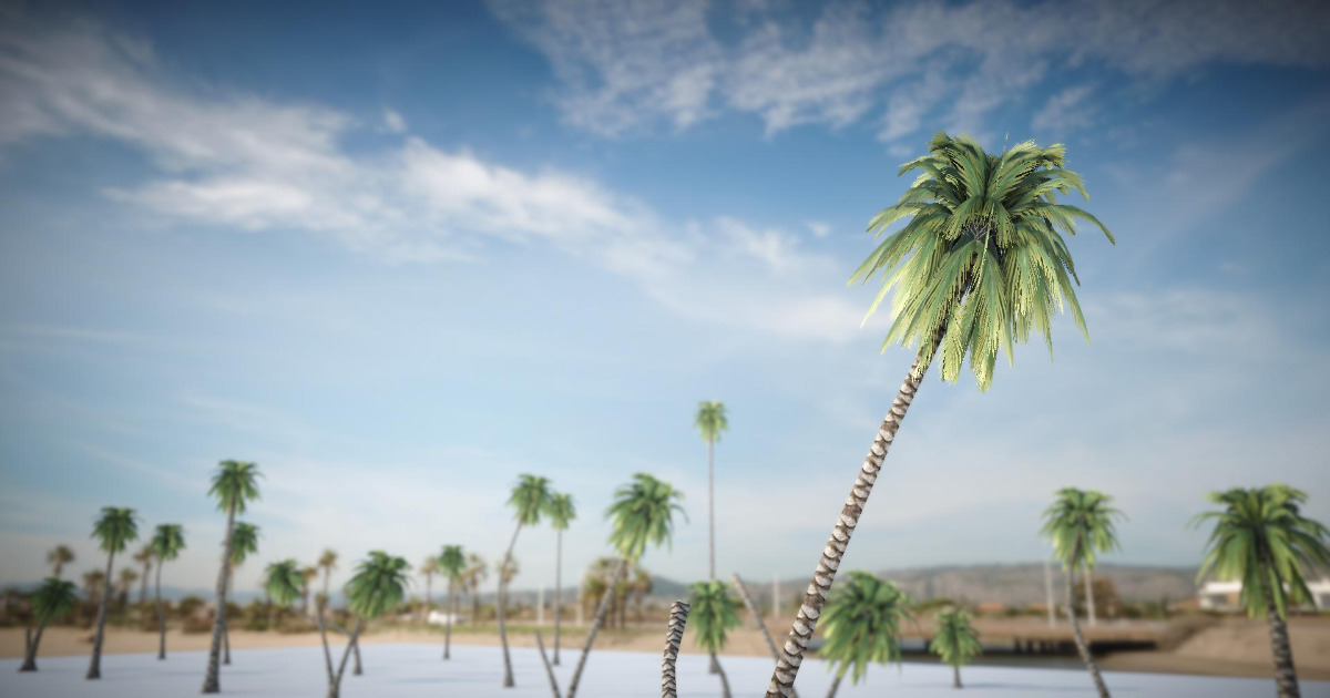 Mobile Palm Pack (URP) | 3D Trees | Unity Asset Store