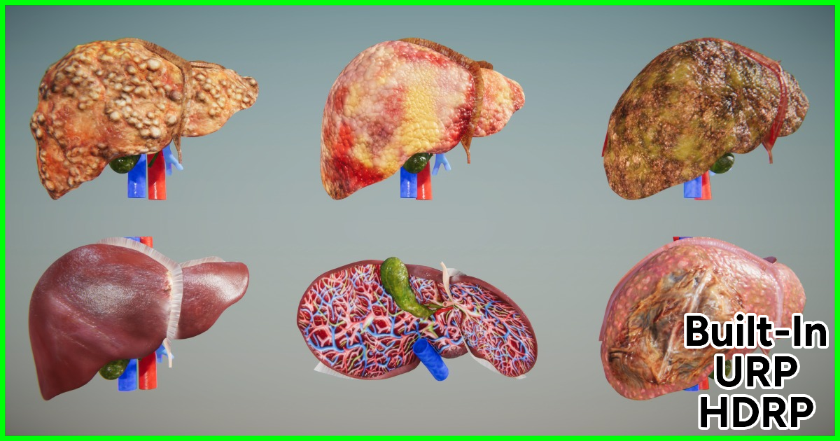 Human Livers | Characters | Unity Asset Store