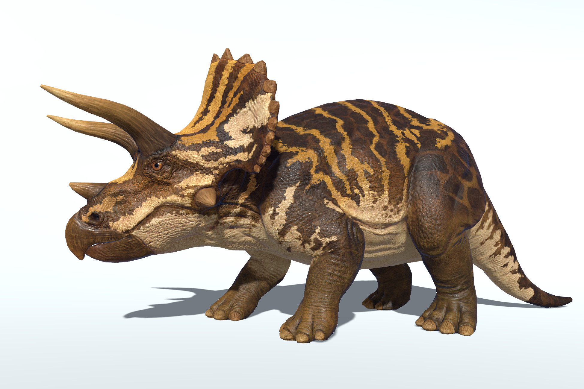 Realistic dinosaur Triceratops | Characters | Unity Asset Store