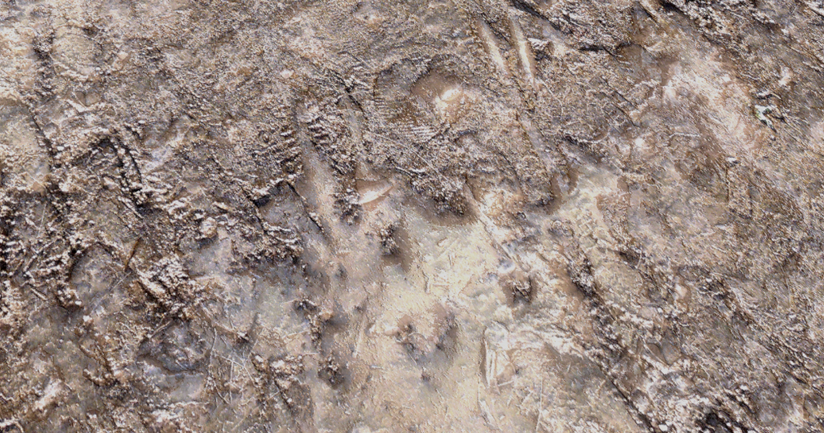 Terrain Texture Pack 1 | 2D Textures & Materials | Unity Asset Store